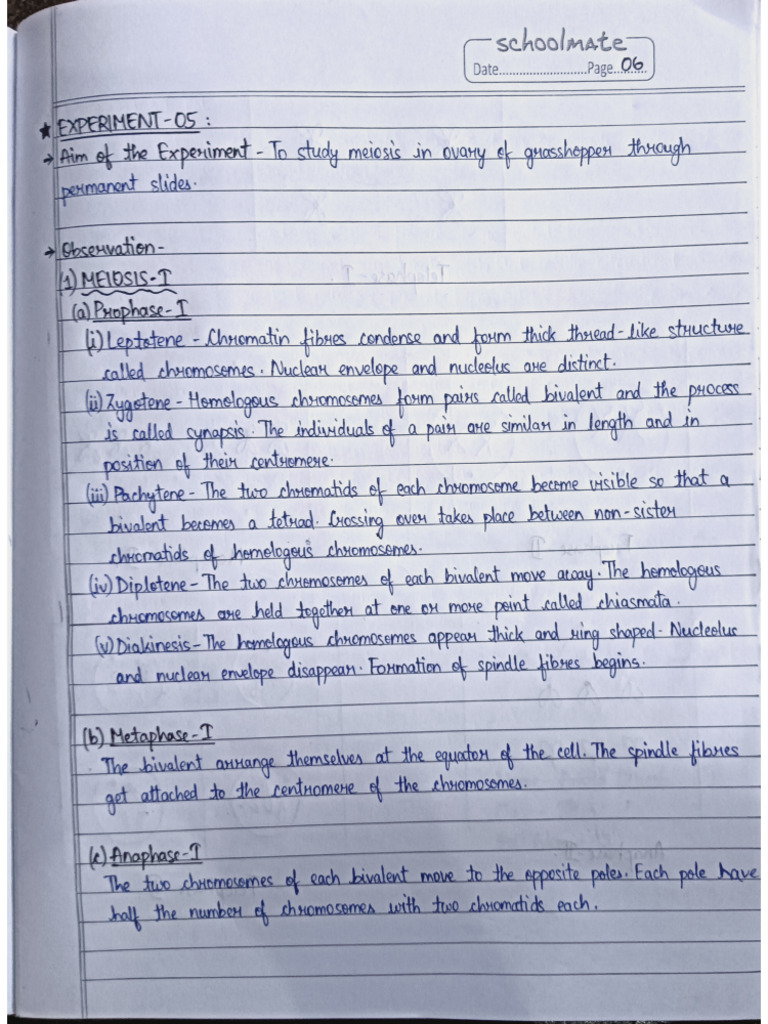 Biology Exp-5 & 6 | PDF