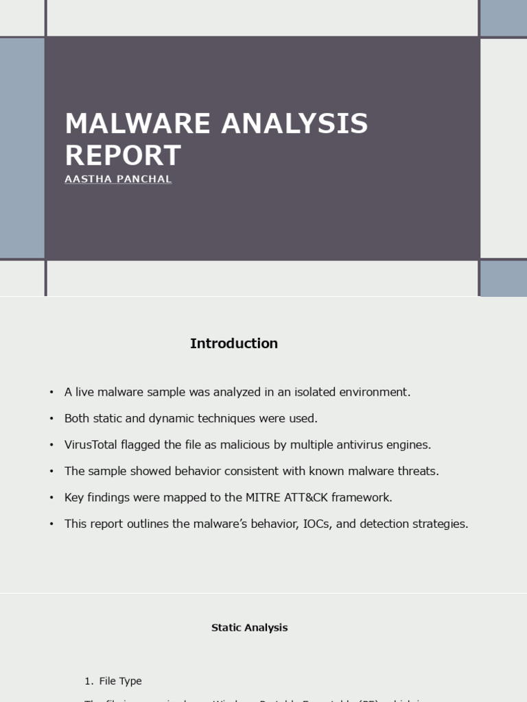 Malware Analysis Report, | PDF | Malware | Domain Name System