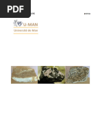 Devoir RISA Techno | PDF