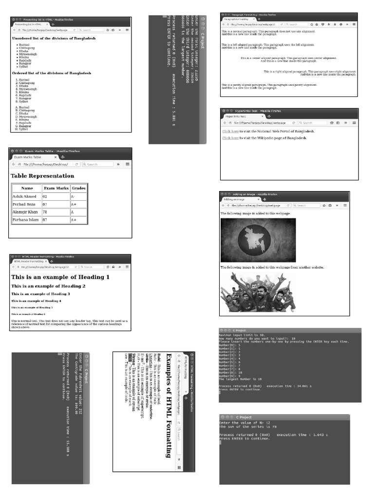 HSC Ict | PDF