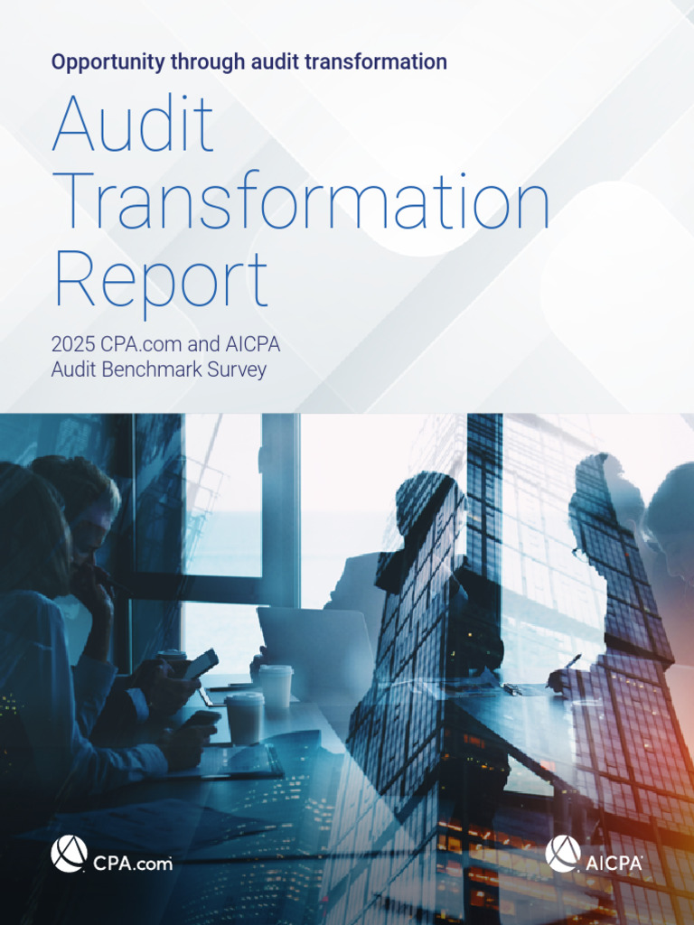 Audit_1767475418 | PDF | Audit | Artificial Intelligence