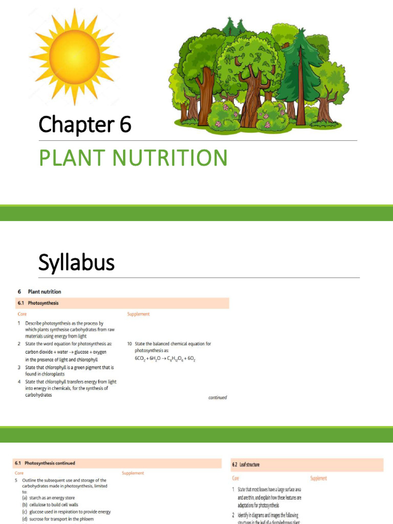 Chapter 6 - Plant Nutrition | PDF | Leaf | Photosynthesis