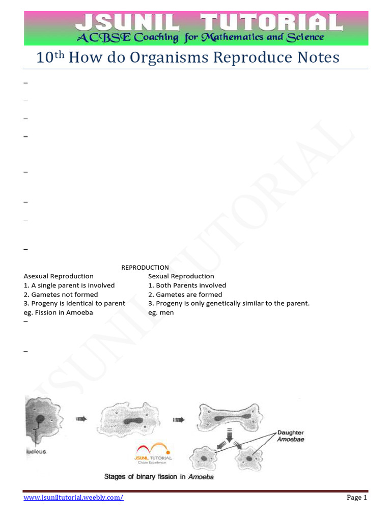 10th How Do Organisms Reproduce Notes | PDF | Flowers | Human Reproduction