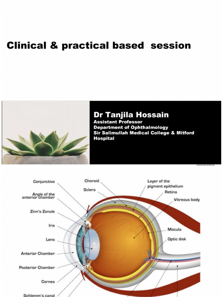 Clinical Practical 48 TH Session | PDF