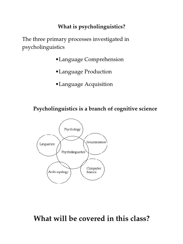 What is Psycholinguistics | Psycholinguistics | Linguistics
