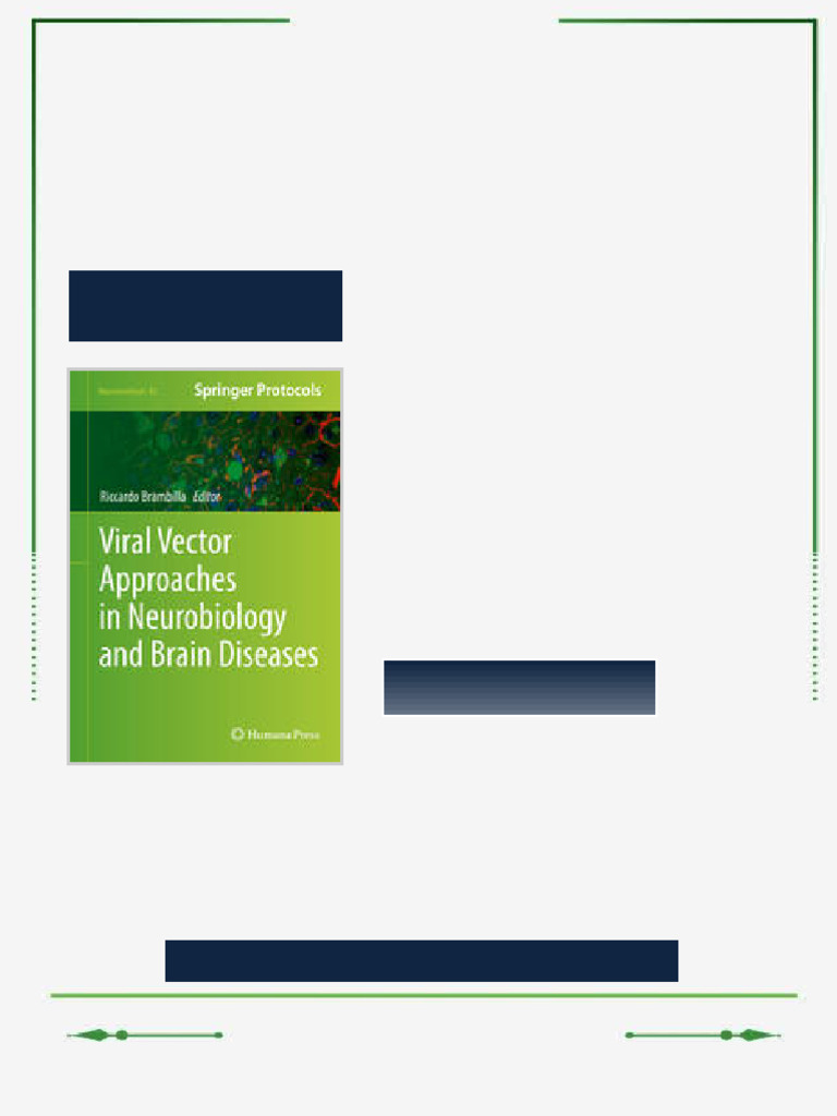 Viral Vector Approaches in Neurobiology and Brain Diseases 1st Edition ...