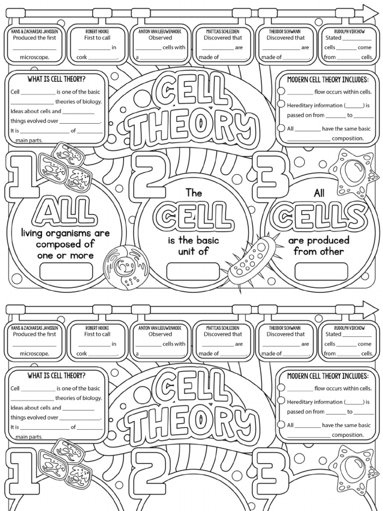 Cell Theory Doodle Note | PDF