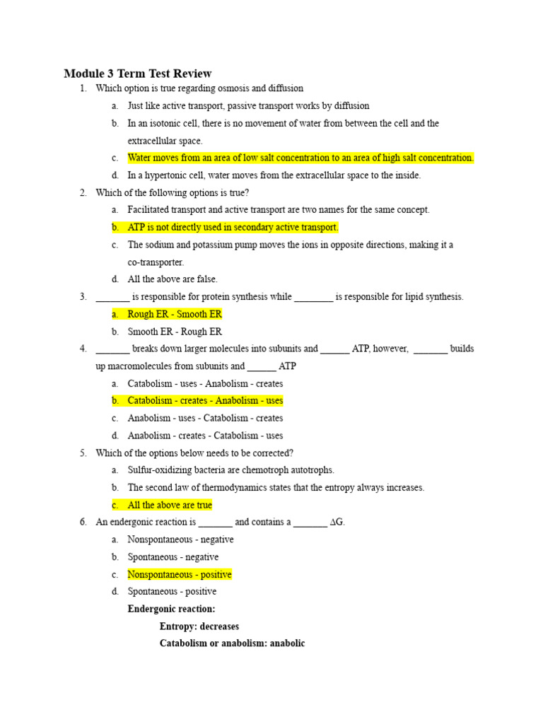 Module 3 Term Test Review | PDF | Cellular Respiration | Electron ...