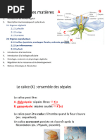 Le Carpelle : Organe des Angiospermes | PDF | Fruit | Embryon