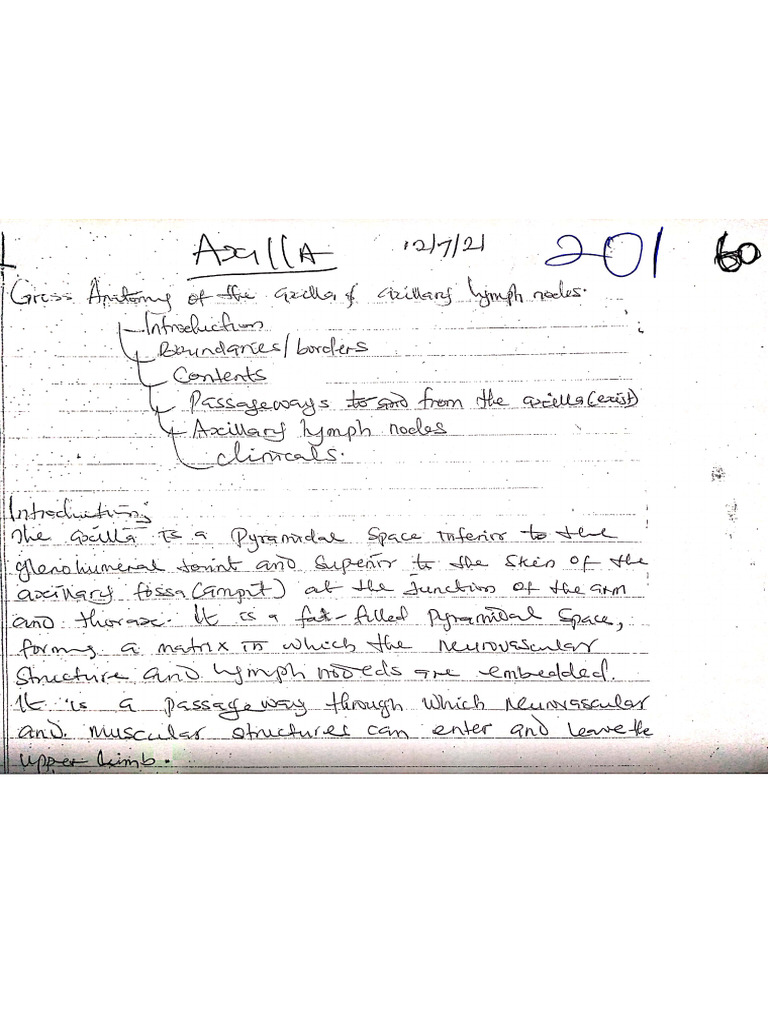 AXILLA (1) | PDF