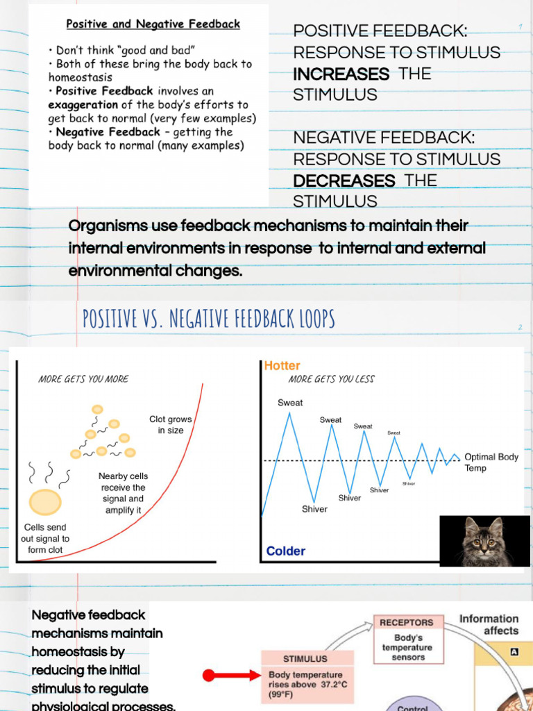 Feedback Mechanisms in Biology | PDF