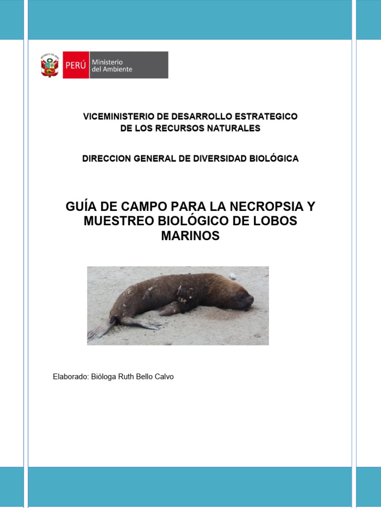 Guia de Campo Lobos | PDF | Pinnípedo | Tórax
