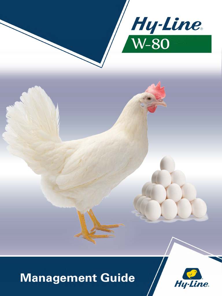 1699276720-Hy-Line W-80 English For Uk Reduced Size | PDF