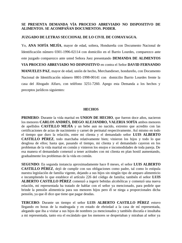 Demanda de Alimentos en Comayagua | PDF | Mandato | Ley Pública