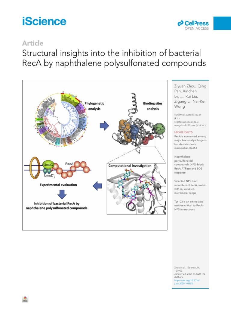 Structural insights into the inhibition of bacterial RecA by ...