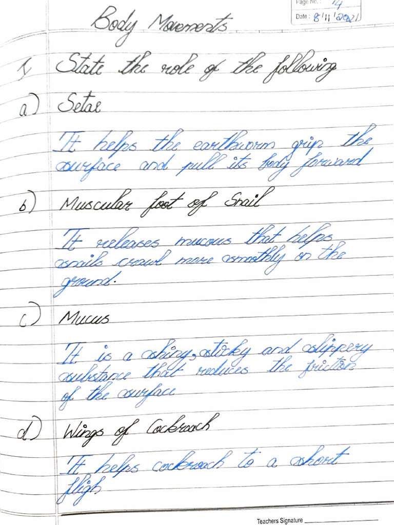 Nikitha S - 6A - Biology Body Movements CW Notes | PDF