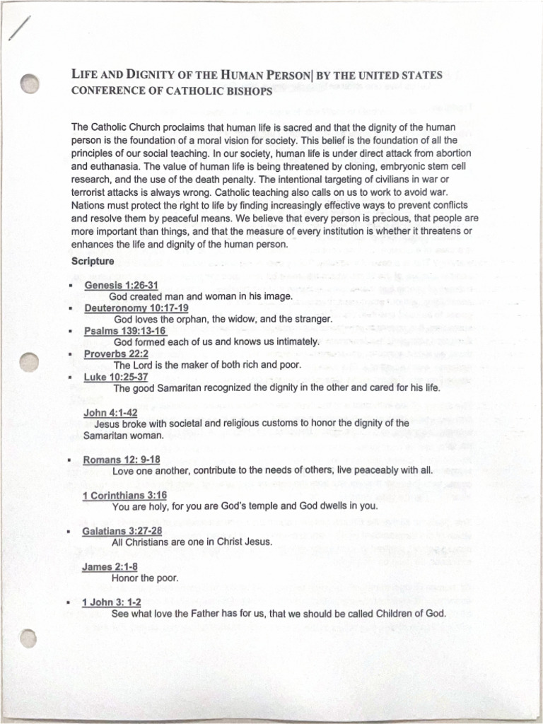Life and Dignity of the Human Person by the United States | PDF