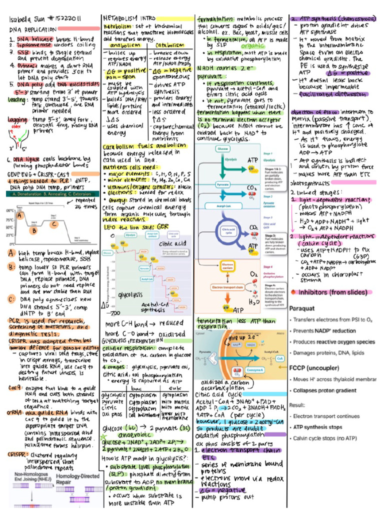 Bio Final Cheat Sheet - Google Docs | PDF