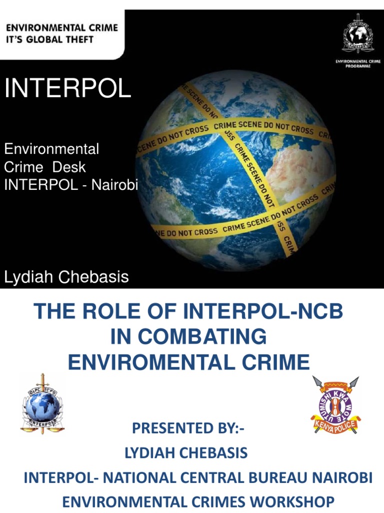 Interpol Presentation | PDF | Intelligence Analysis | Police