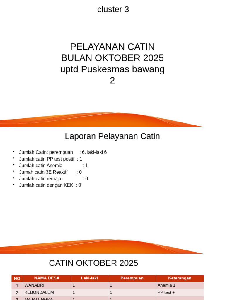 Laporan Pelayanan Catin Oktober 2025 | PDF