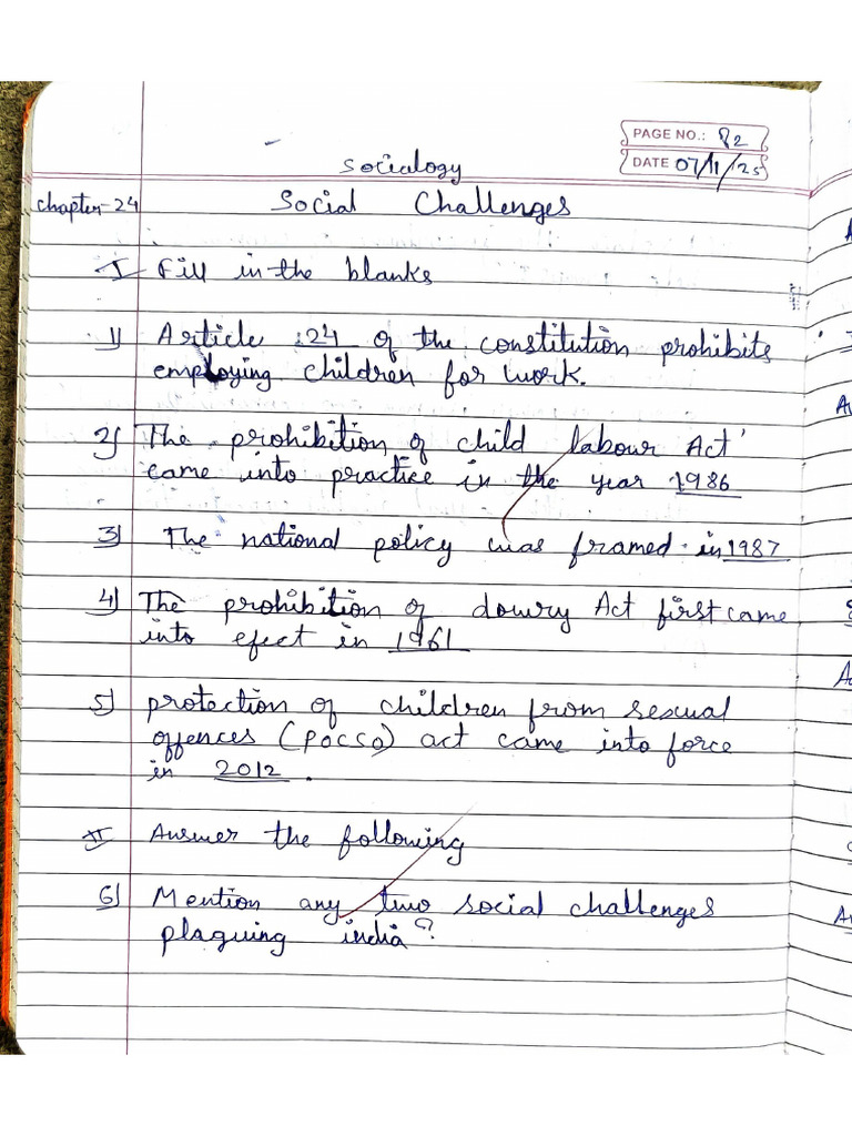 Social Challenges | PDF