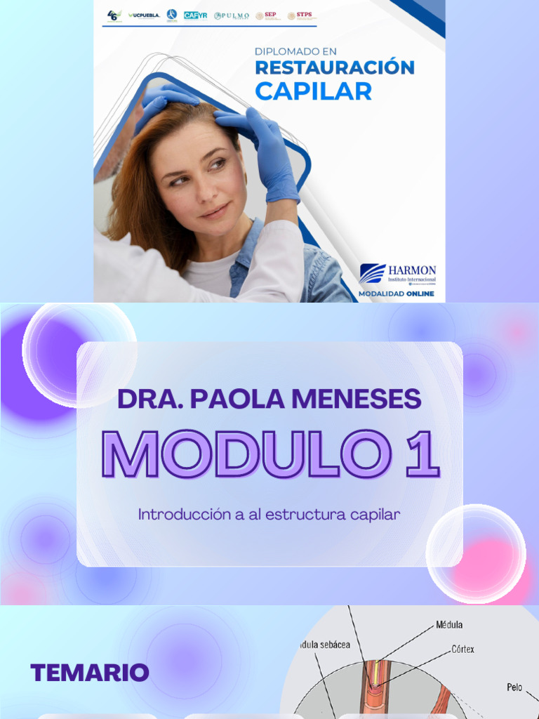 Anatomía y Estructura del Cabello | PDF | Pelo | Anatomía humana