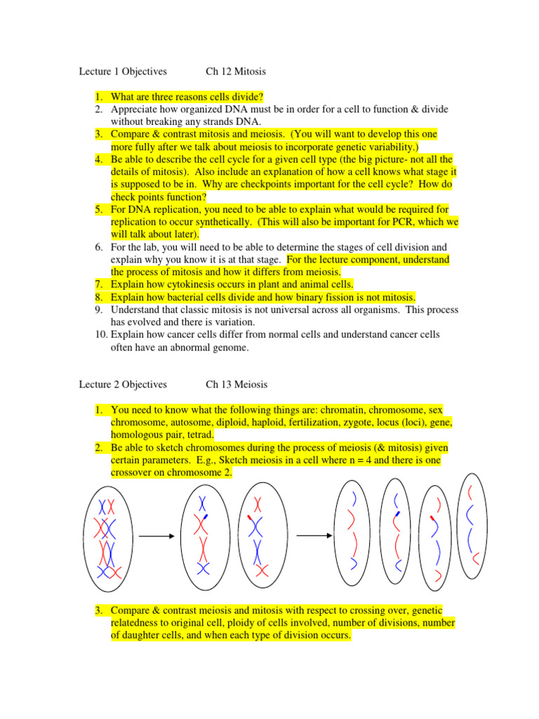W - Biology 102 Objectives | PDF | Meiosis | Life Sciences