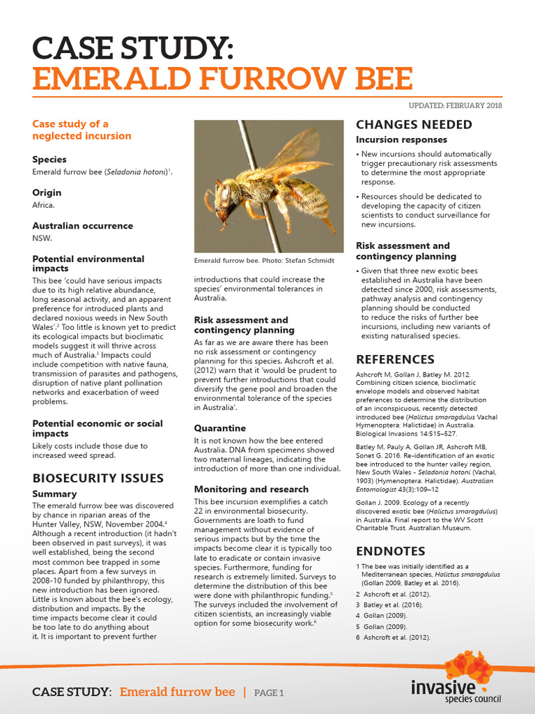 Emerald Furrow Bee Case Study Insights | PDF | Natural Environment ...