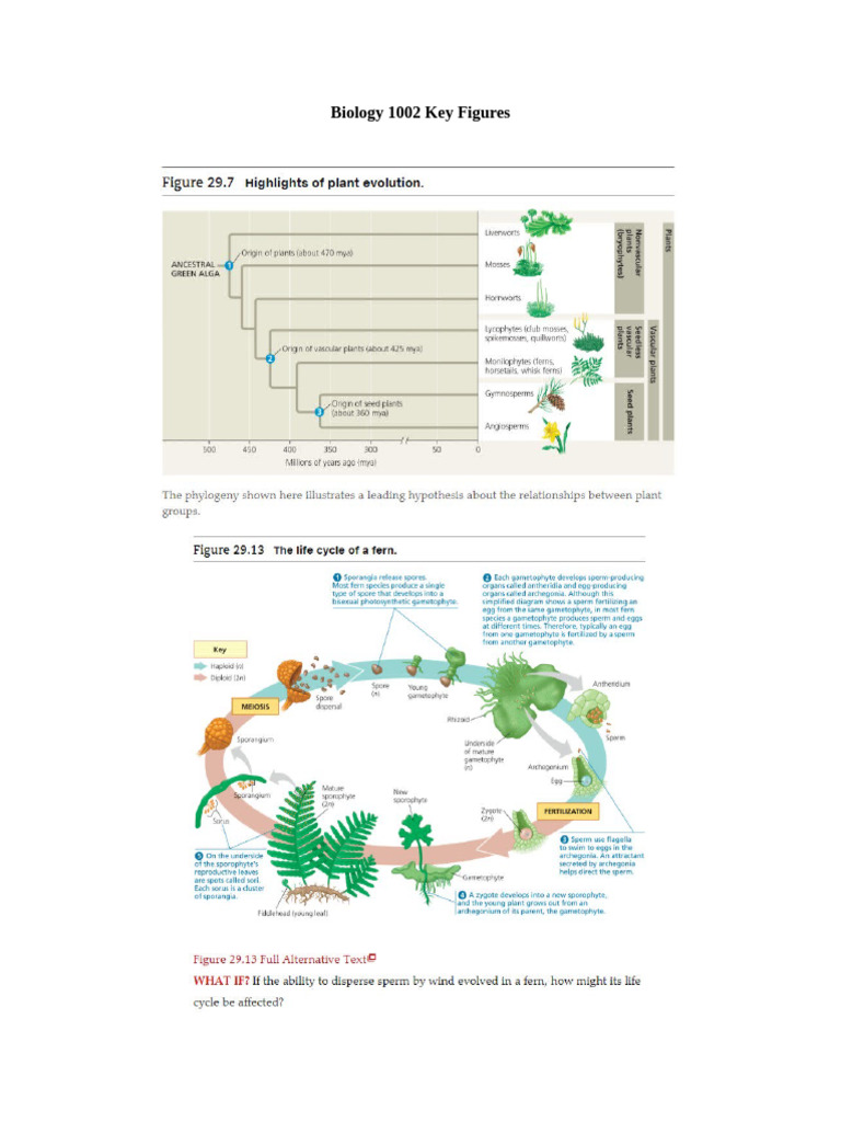 Biology 1002 Key Figures | PDF