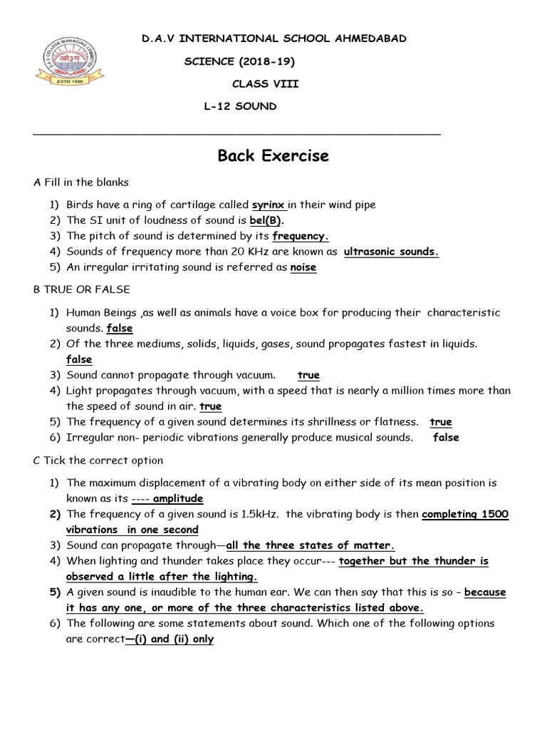 Class VIII Science: Sound Concepts | PDF | Sound | Larynx