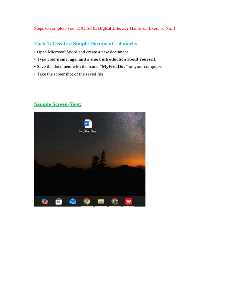 DIGISKIL Digital Literacy Exercise Guide | PDF