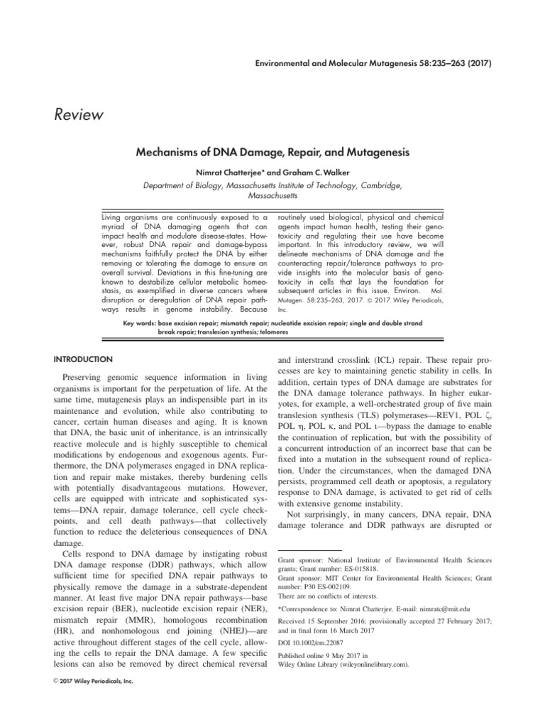 Mechanisms of DNA Damage, Repair, and Mutagenesis | PDF | Dna Repair ...