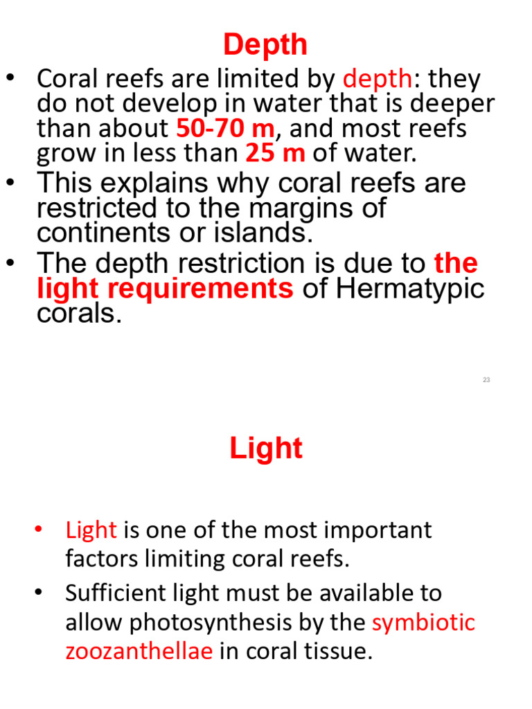 Coral Reef & Mangrove 23 - 27 | PDF