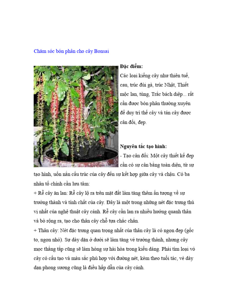 Chăm Sóc Bón Phân Cho Cây Bonsai | PDF