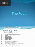 MTP and IP Joint Overview in Foot | PDF | Foot | Toe