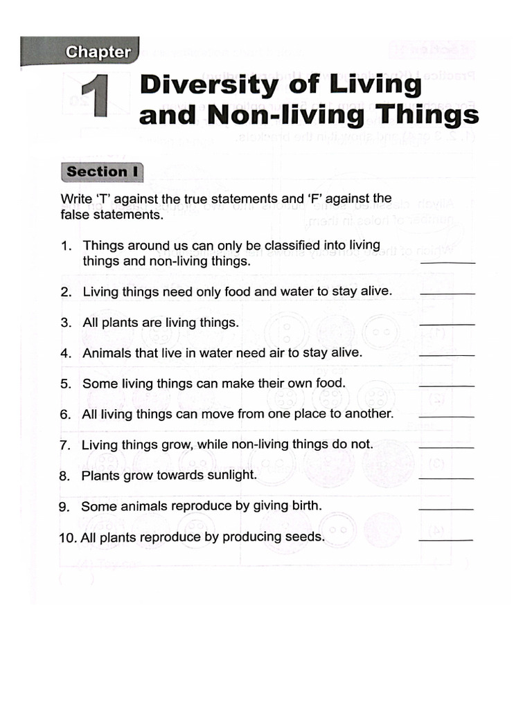 Diversity of Living and Non-Living Things | PDF