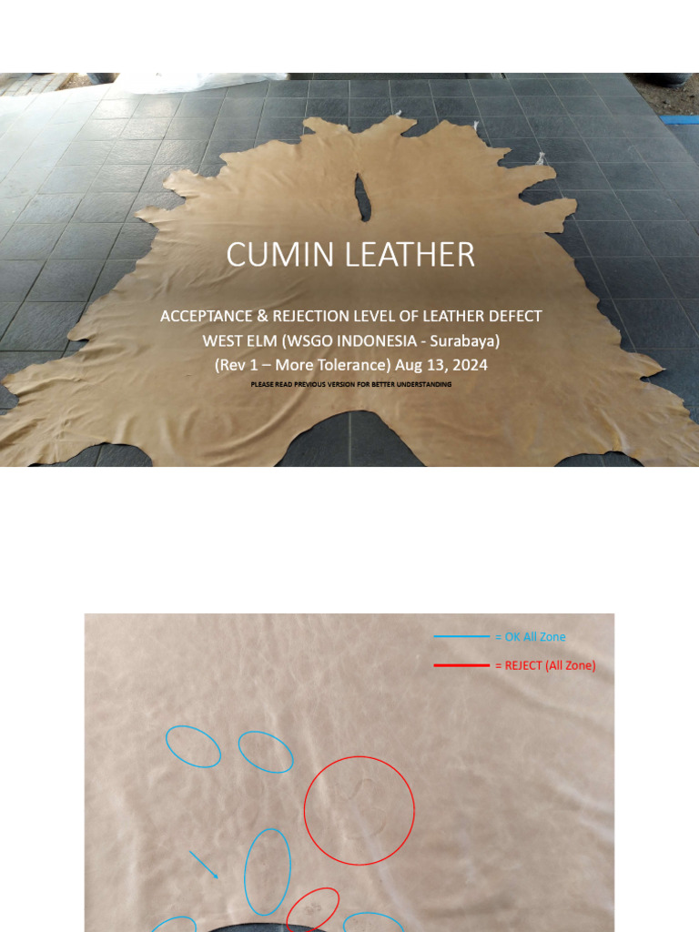 CUMIN LEATHER - ACCEPTANCE & REJECTION LEVEL OF LEATHER DEFECT - Rev.1 ...