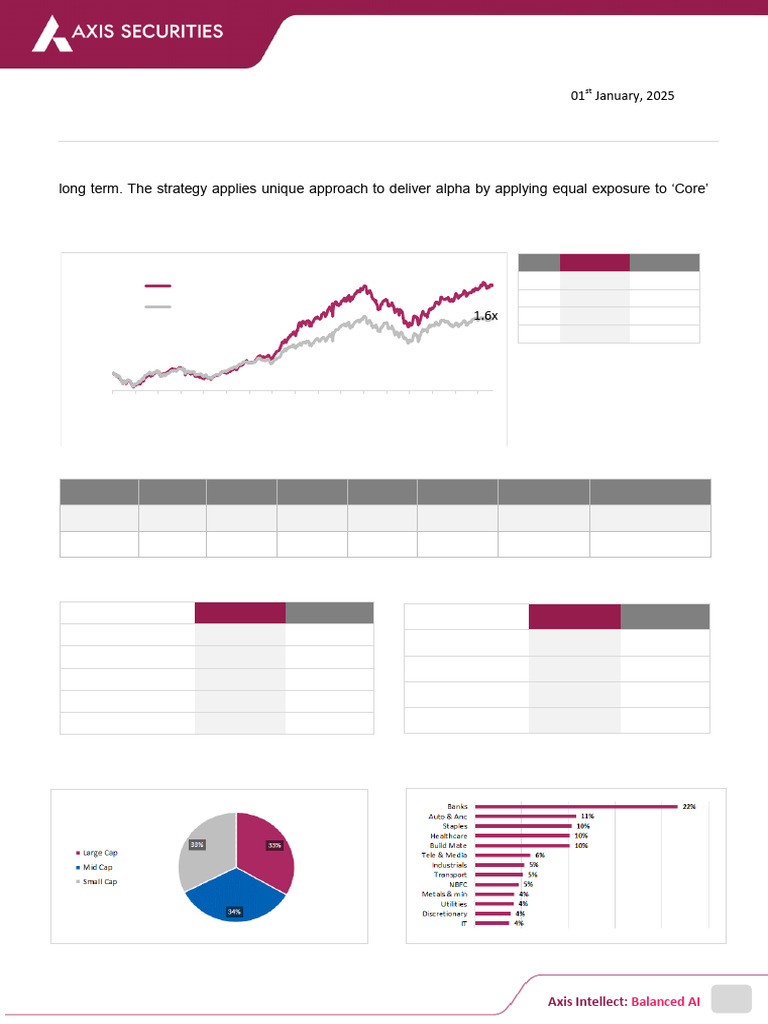 Balanced AI One Pager Jan 2026 | PDF | Investing | Financial Markets