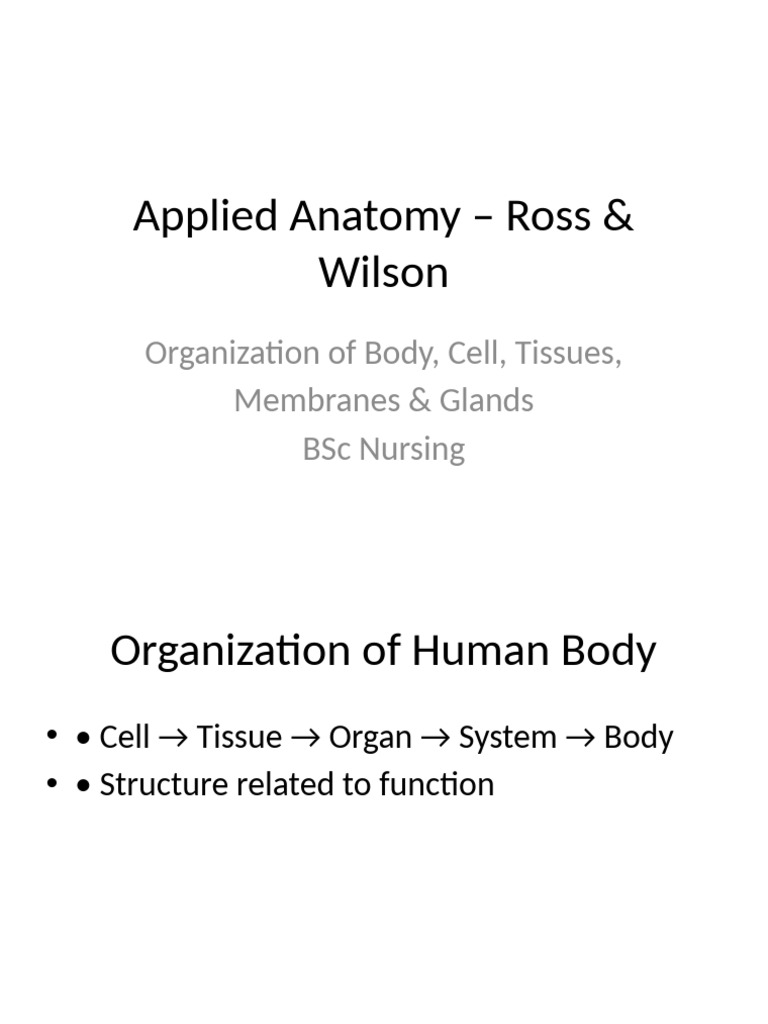 Brief Applied Anatomy With Diagrams BSc Nursing | PDF