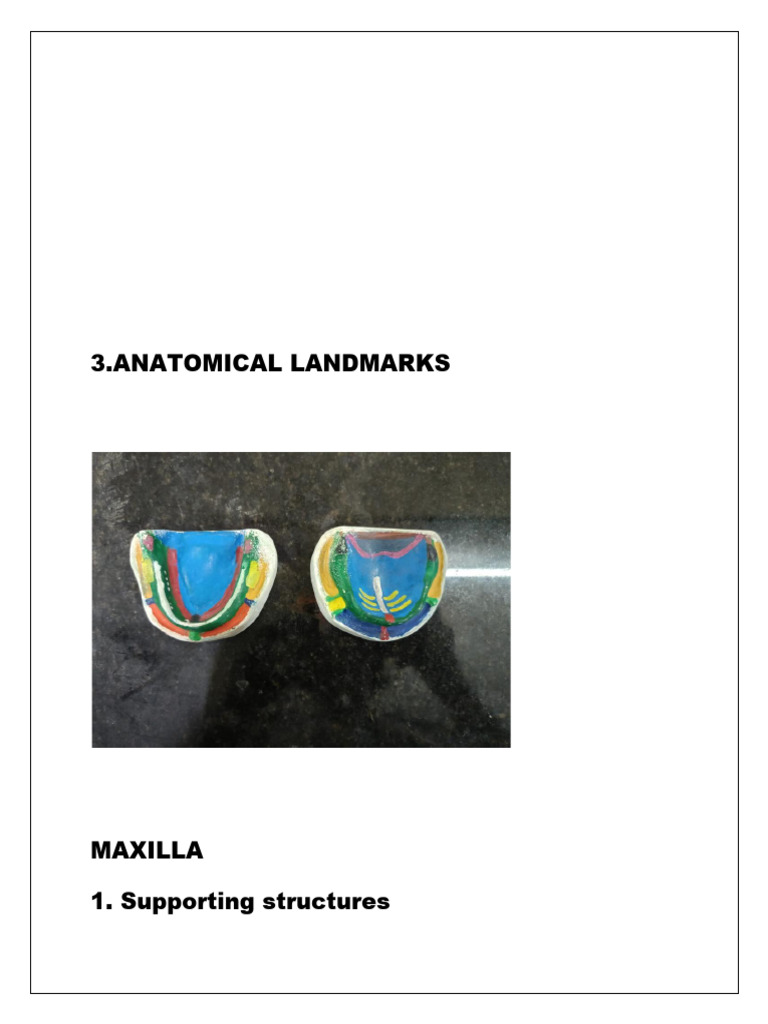Anatomical Landmarks PDF | PDF | Human Anatomy | Human Head And Neck