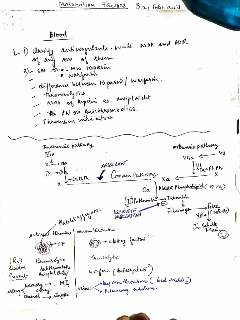 Blood Notes - 241117 - 091421 | PDF