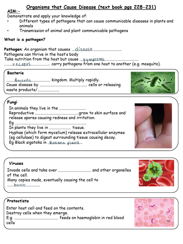 Pathogens and Disease Transmission Overview | PDF | Coagulation | Mucus