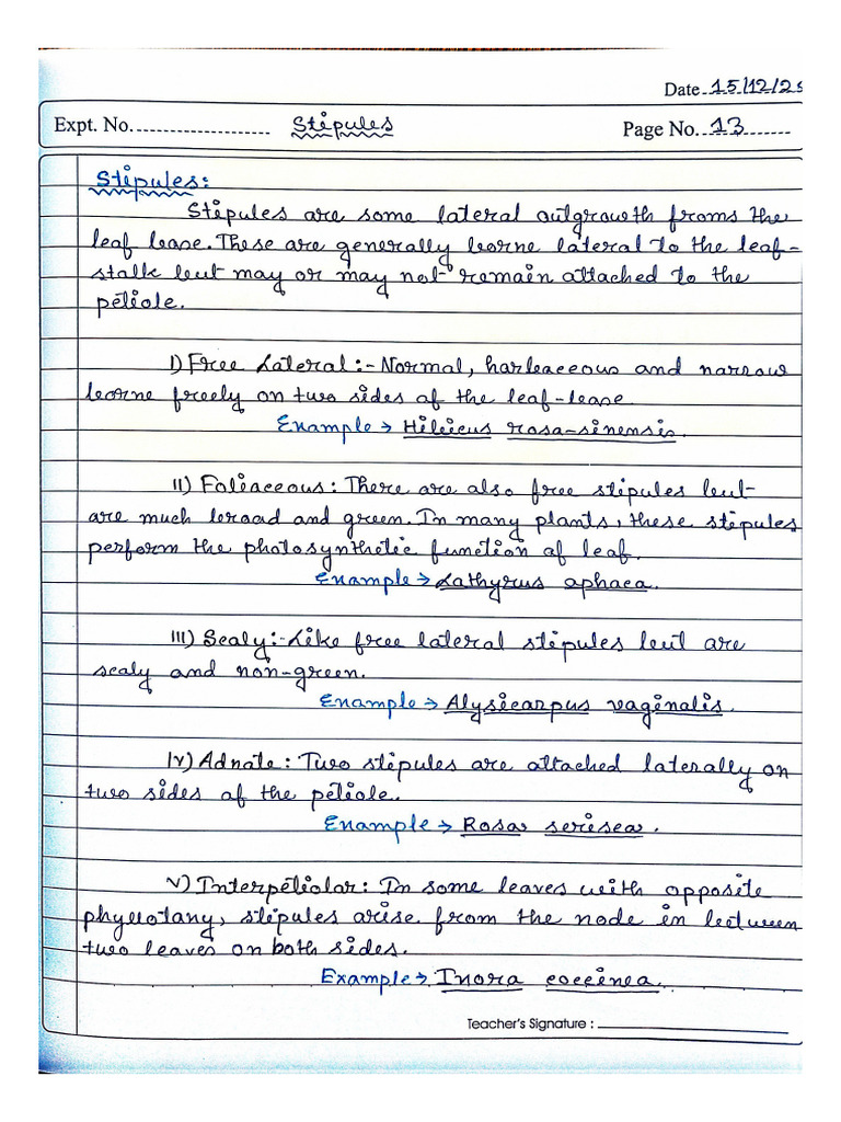 Stipule (Morphology Practical) | PDF