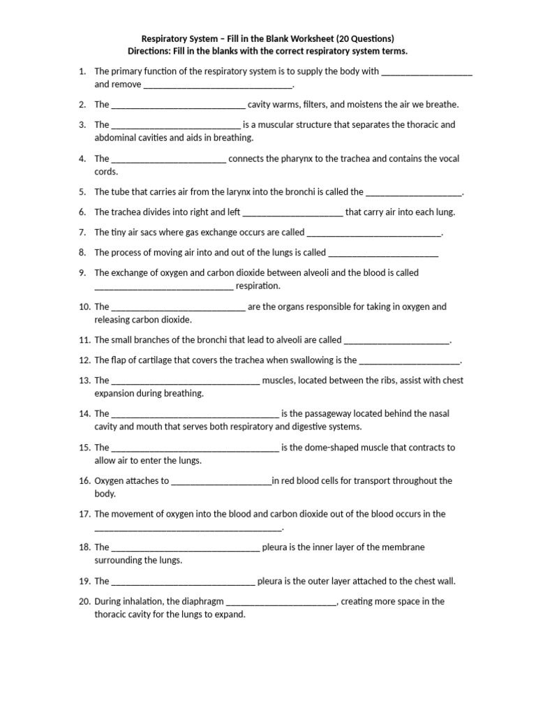 Respiratory System Fill in The Blank Worksheet | PDF | Respiratory ...