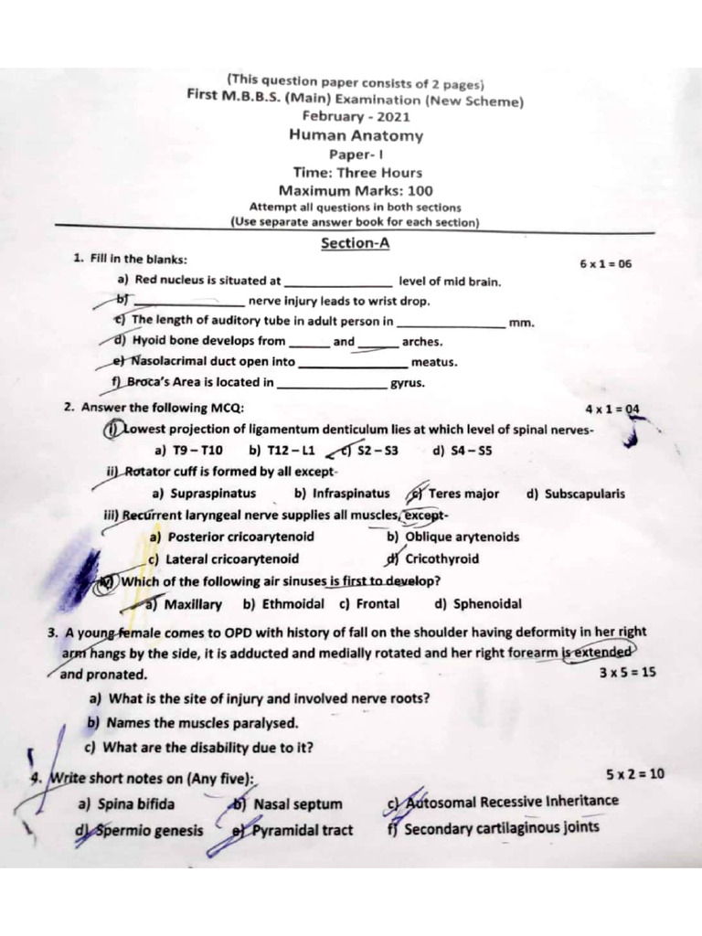 RUHS 1st UC Papers Feb, 2021 (Batch - 2019) | PDF