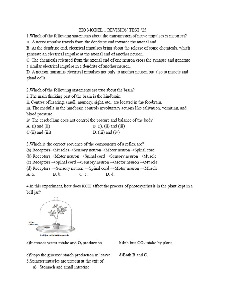 Biology Revision Test 2025: Key Concepts | PDF | Neuron | Lymph
