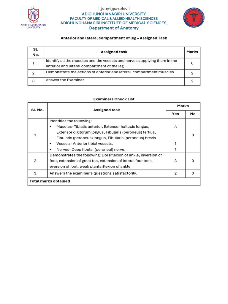 Muscular System OSPE Stations - 250916 - 161015 | PDF | Human Leg | Thumb