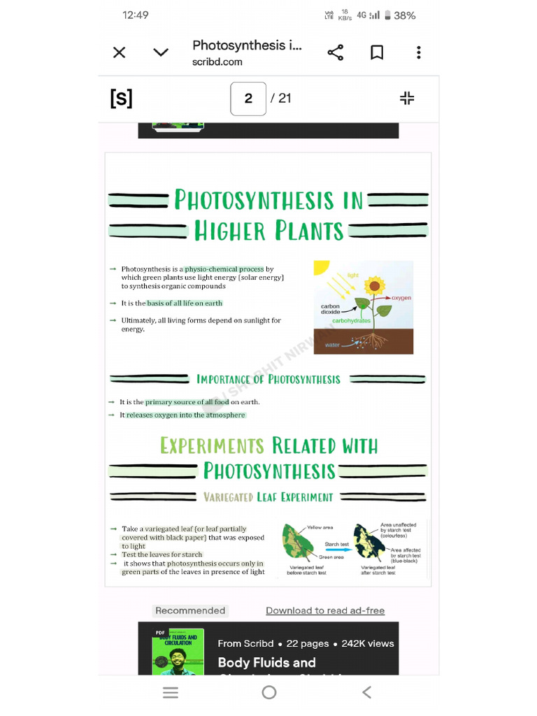 Photosynthesis in Higher Plants | PDF