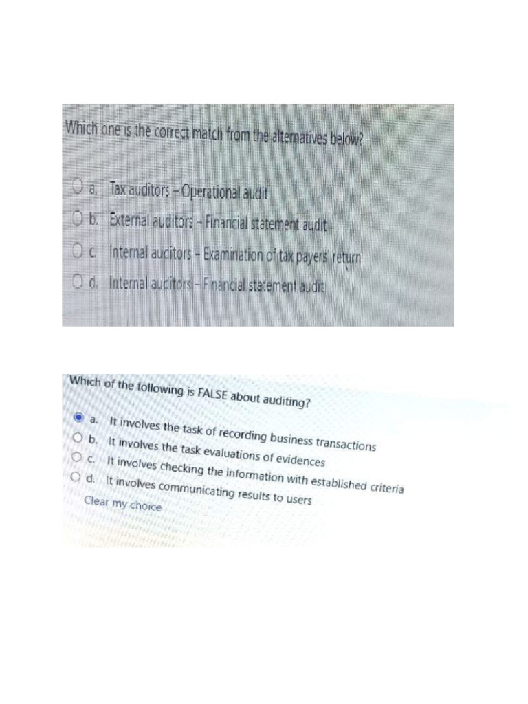 Auditing Questions | PDF