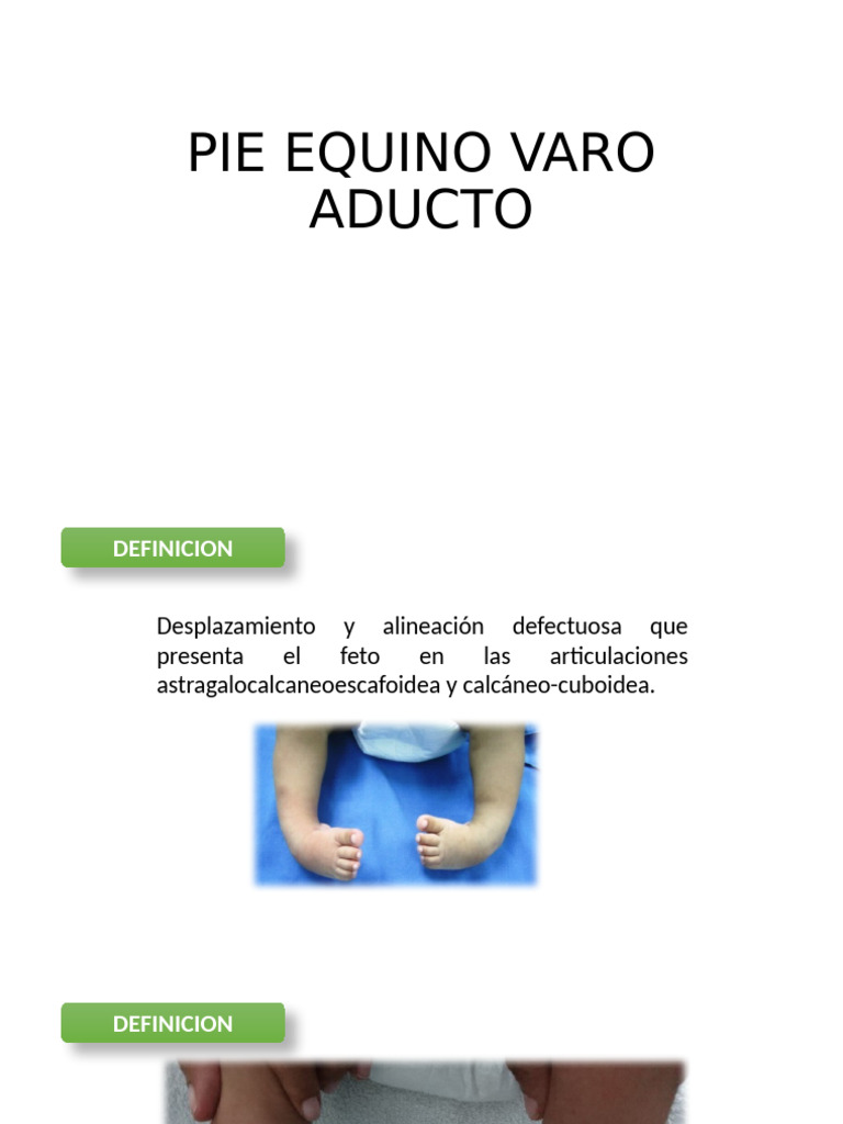 Pie Equino | PDF | Pie | Tobillo